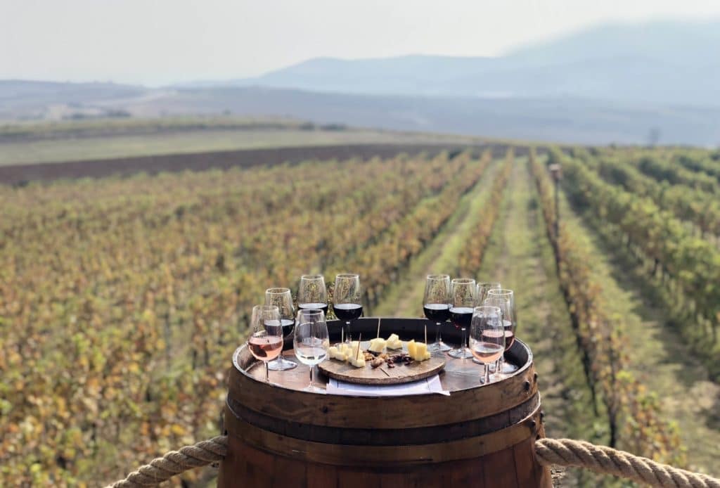 Do you know Turkish wines and grape varieties? - TOOISTANBUL, visit ...